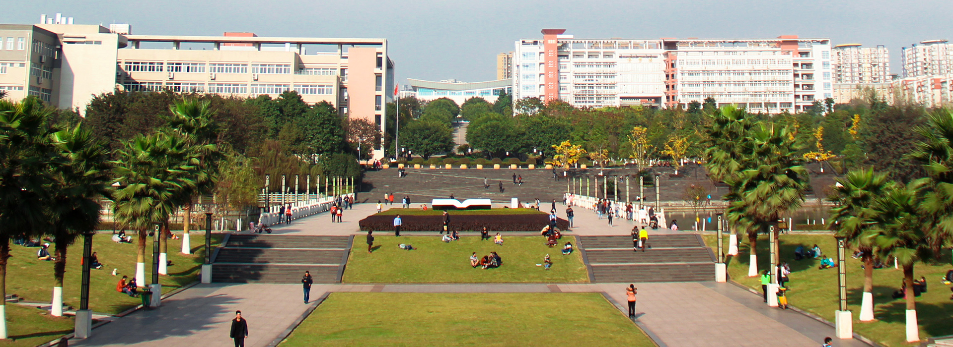 School of Politics and Public Administration